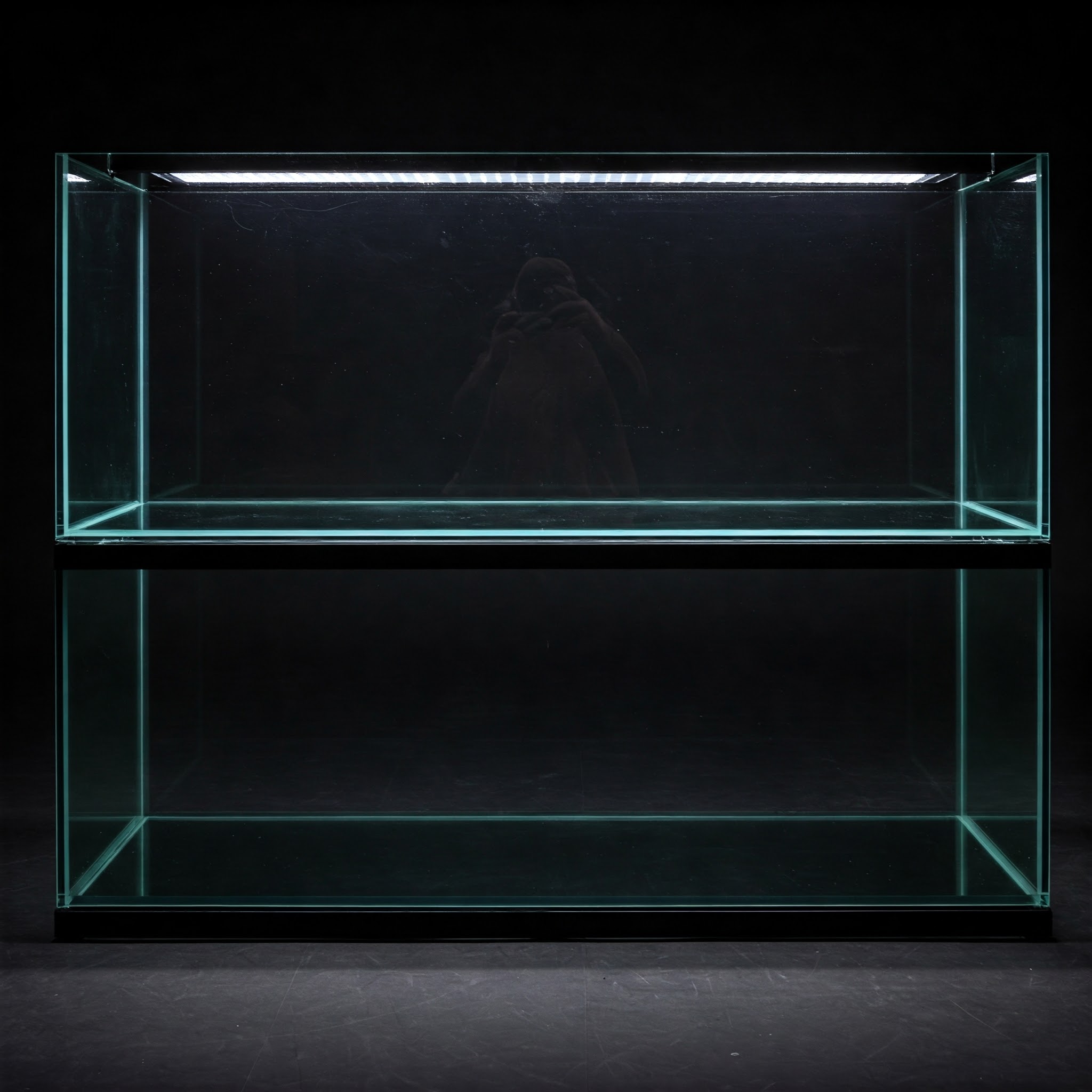 120 Gallon Fish Tank: 10 Incredible Benefits of Going Big with Your ...