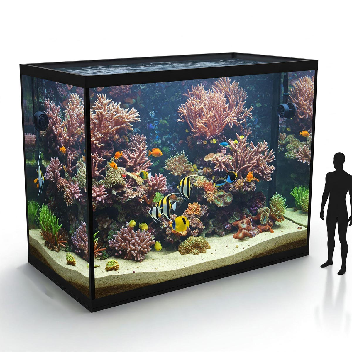 10 Amazing 125 Gallon Fish Tank Options For Your Dream Aquarium Setup ...