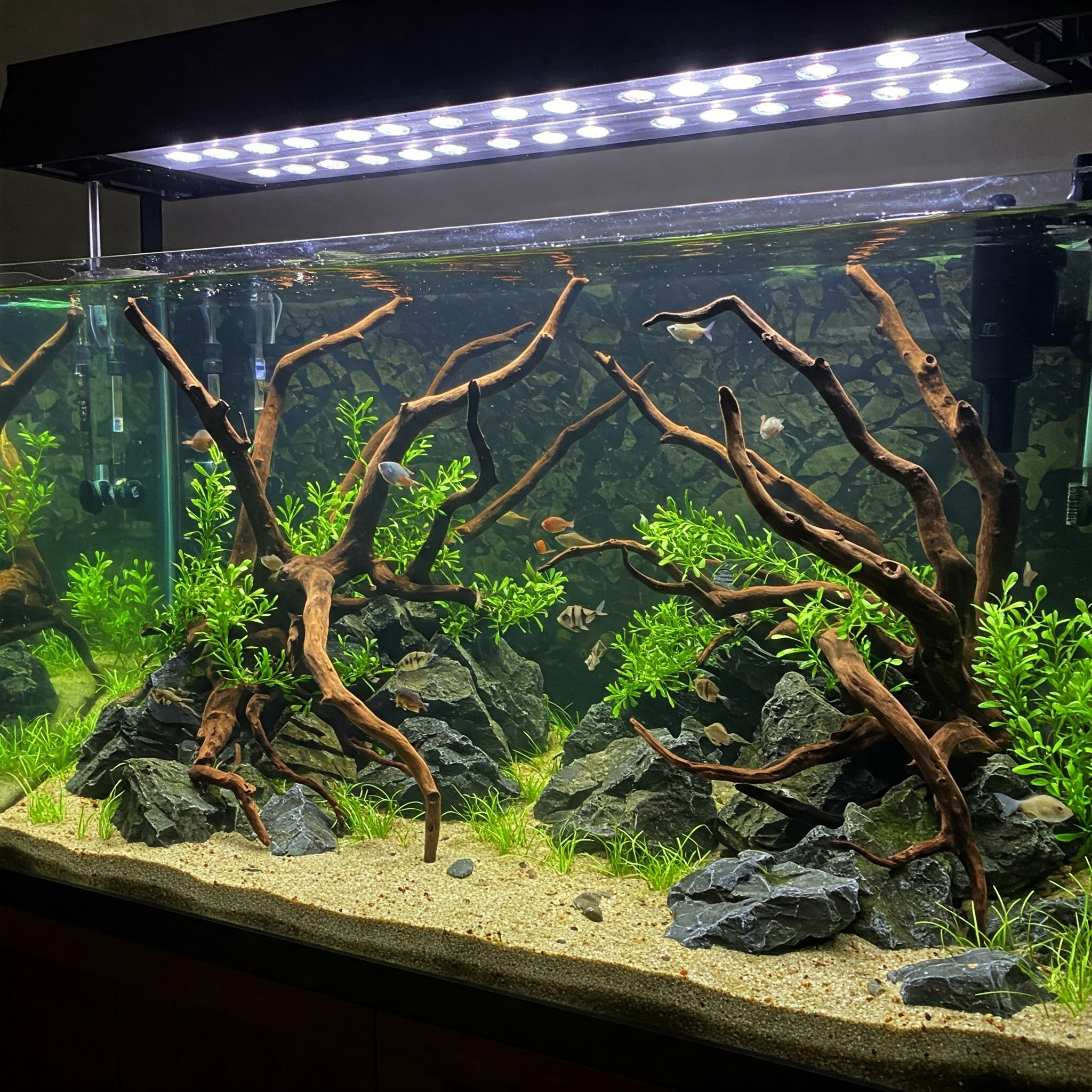 120 Gallon Fish Tank: 10 Incredible Benefits of Going Big with Your ...