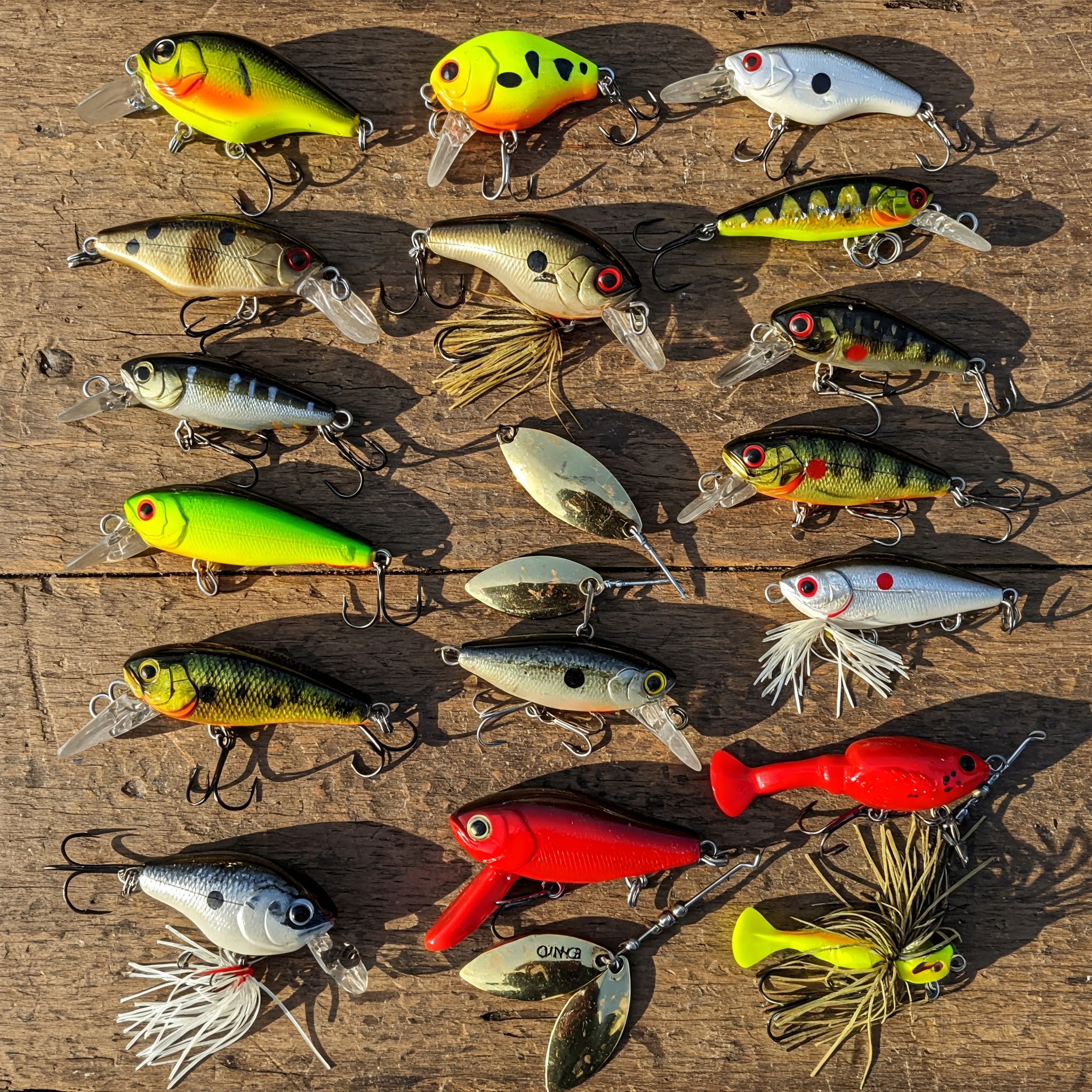 Species Targeting - FishingWorld360 – Expert Fishing Gear Reviews & Tips