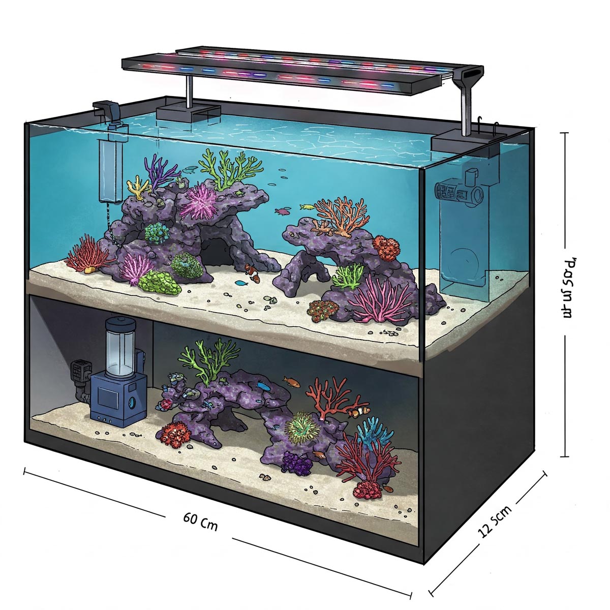 Complete Guide to 60 Gallon Fish Tank Dimensions: Everything You Need ...