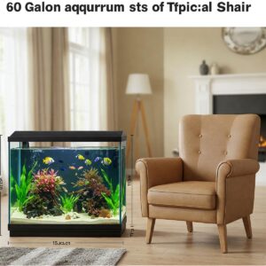 Complete Guide to 60 Gallon Fish Tank Dimensions: Everything You Need ...