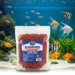 7 Amazing Blood Worms for Fish Benefits That Will Transform Your ...